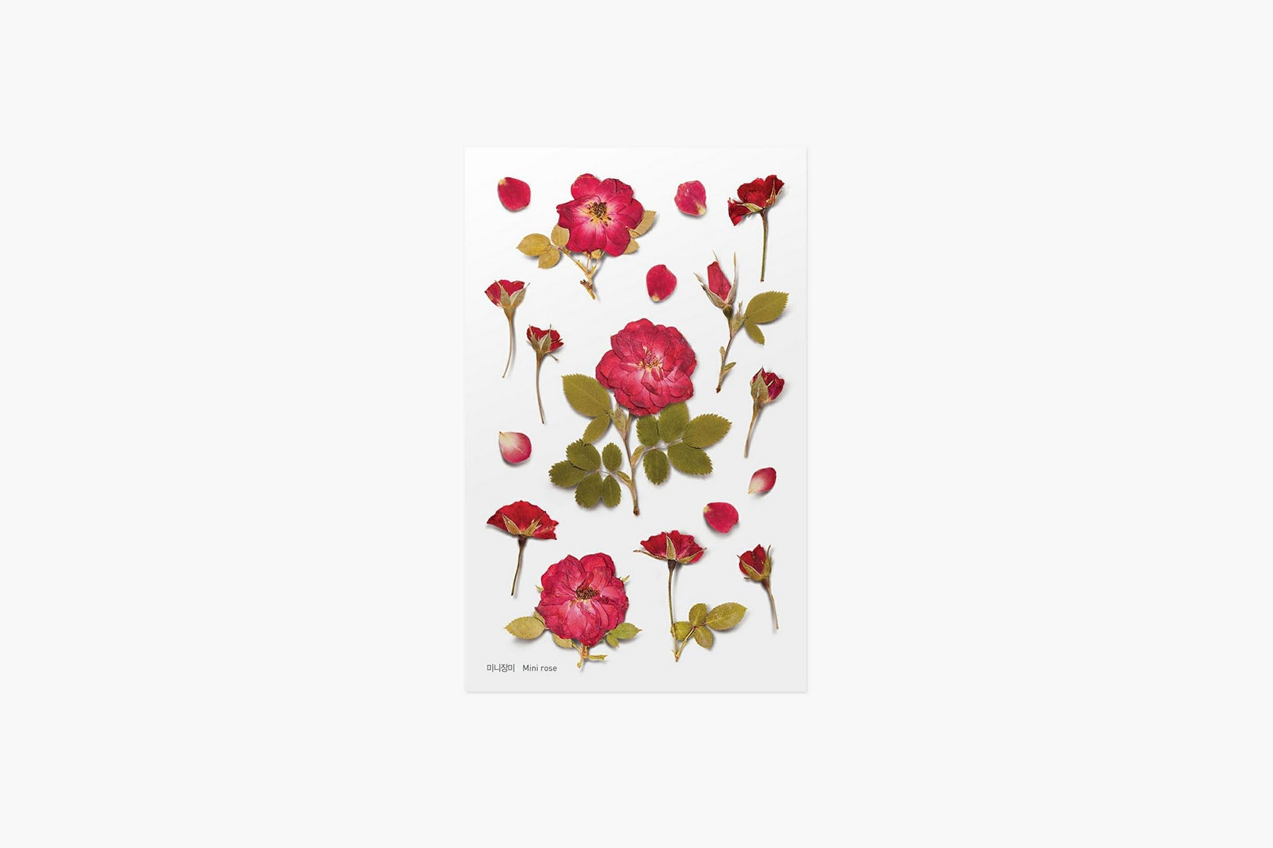 Decorative Stickers – Mini Rose – PAPIERNICZENI
